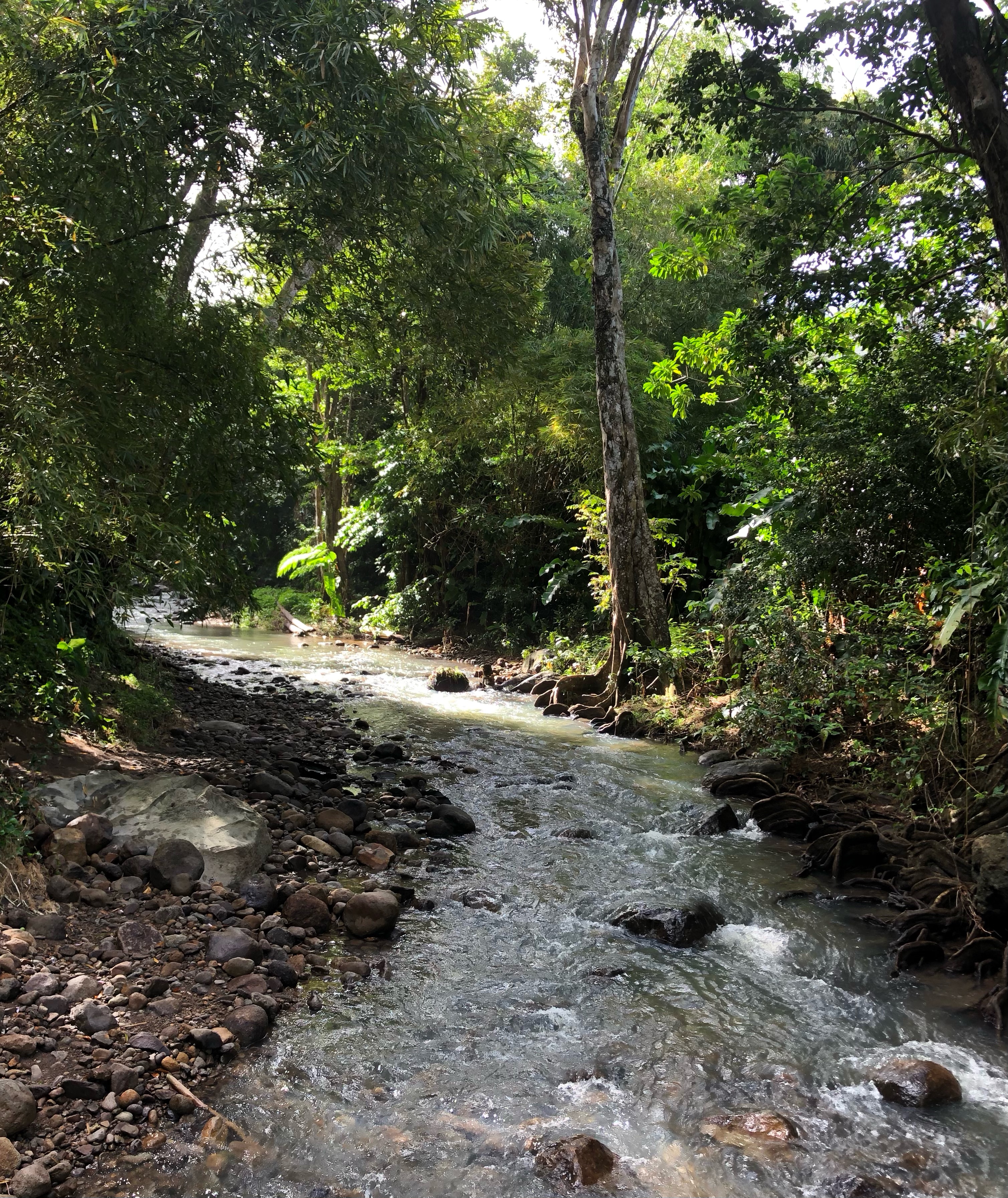 Dominica – SAILING ROUND THE WORLD